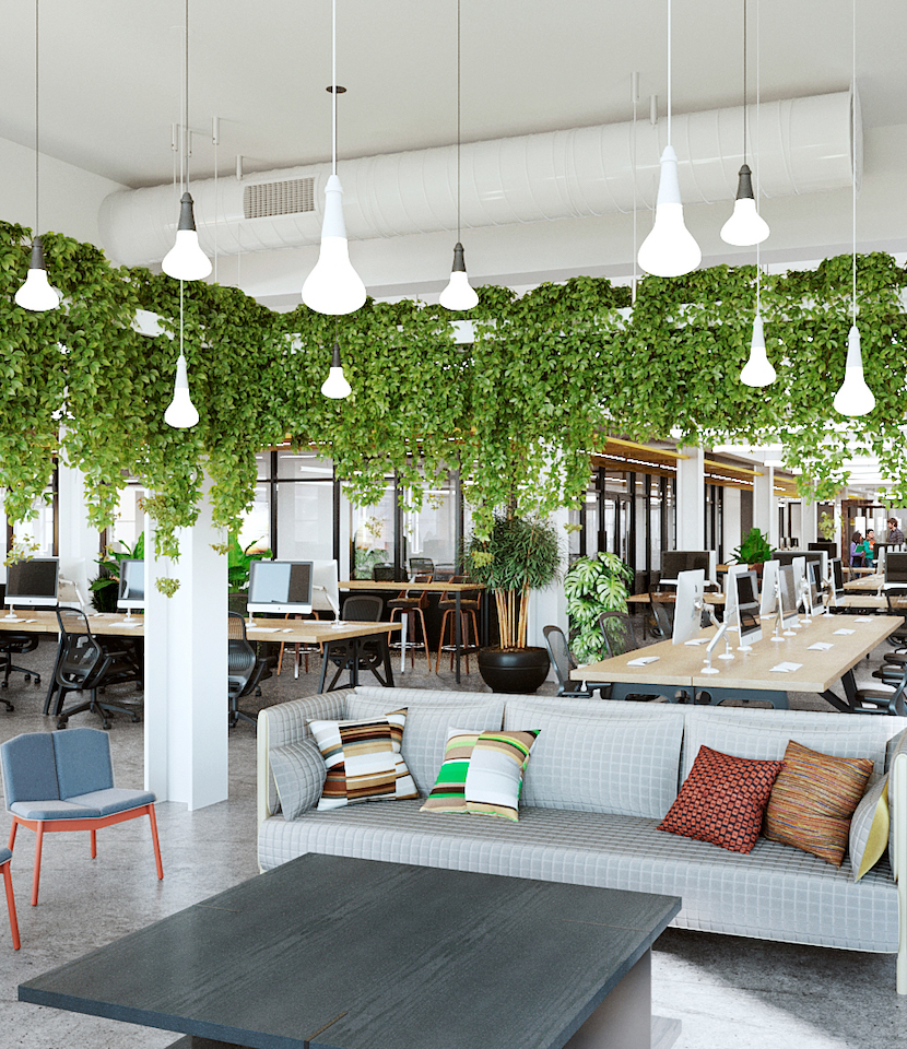 Haven Technologies - MKDA