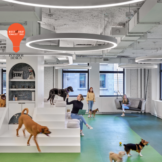 BARK Named A Finalist at Best of the Year Awards - MKDA