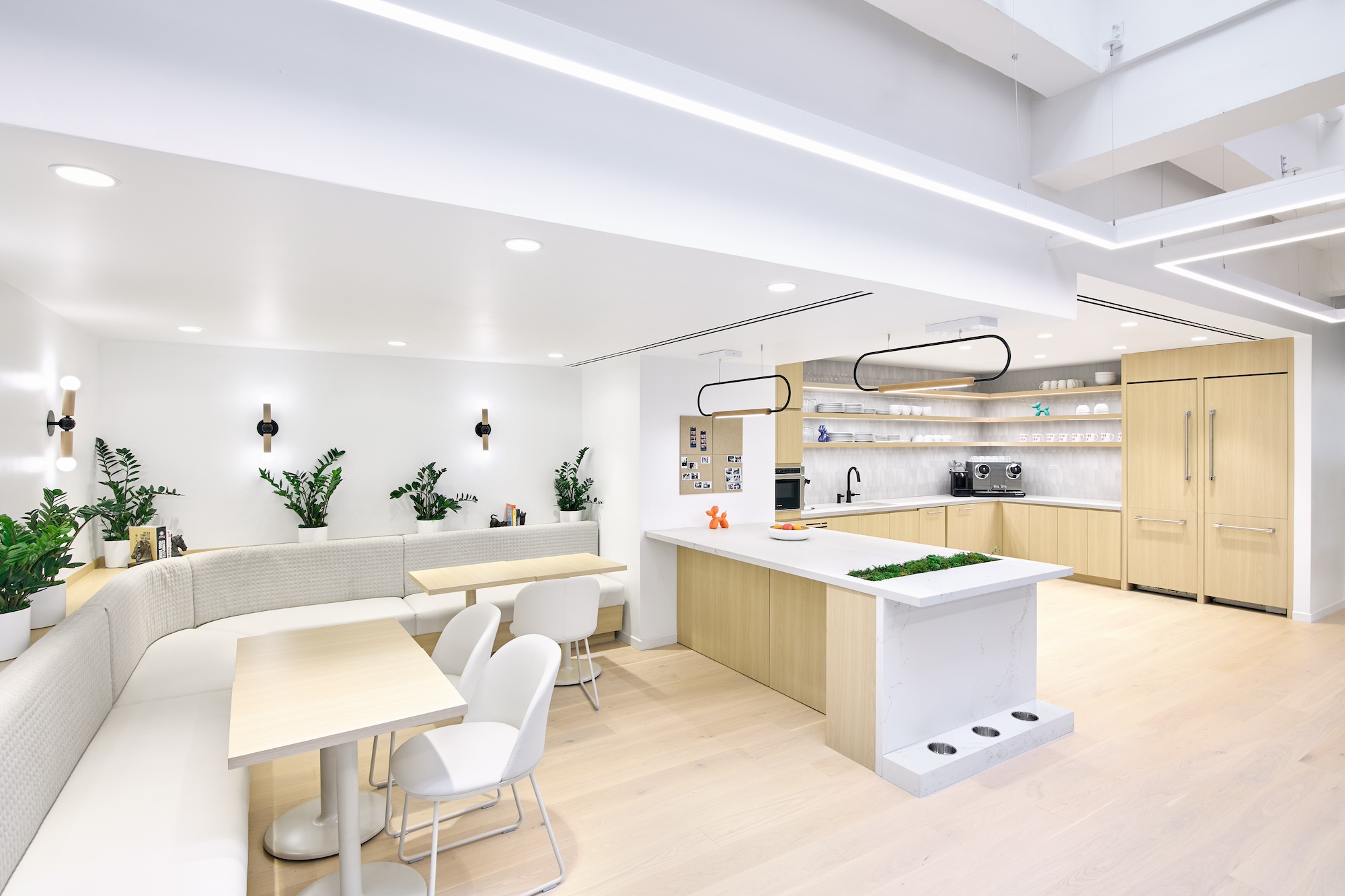 Antech Diagnostics - MKDA